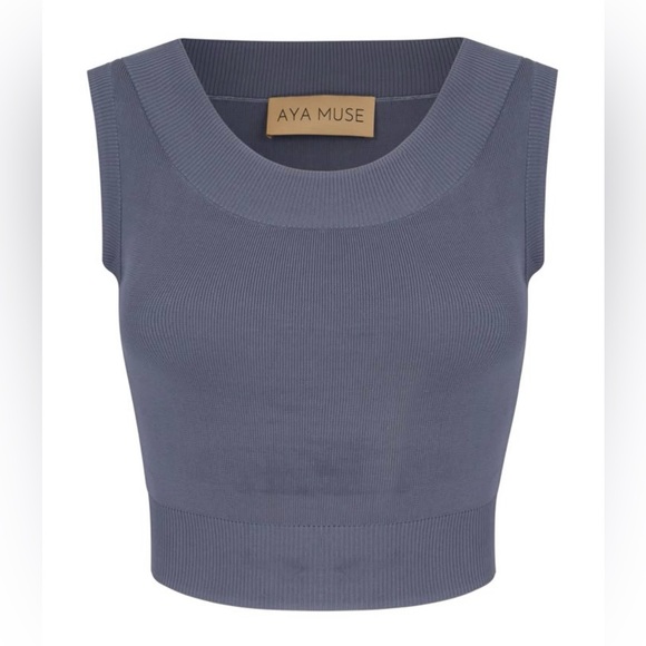 Aya Muse | Tops | Aya Muse Slate Blue Sleeveless Crop Top And Skirt Set ...